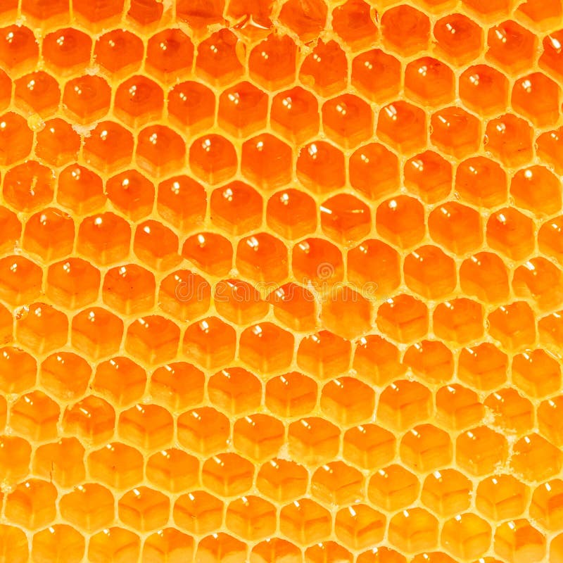 Honeycomb Pattern. Honey Texture As a Background, Wallpaper Stock Photo ...