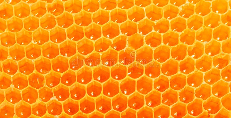Honeycomb Pattern. Honey Texture As a Background, Wallpaper Stock Photo ...
