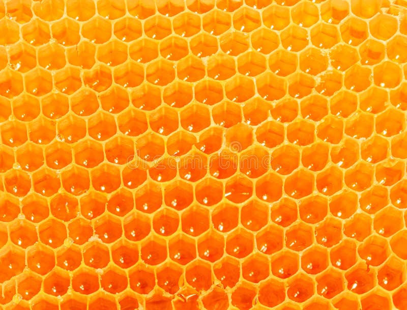 Honeycomb Pattern. Honey Texture As a Background, Wallpaper Stock Photo ...