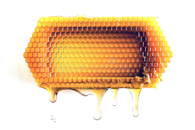 Honeycomb Photo Frame with Dripping Honey Stock Illustration ...