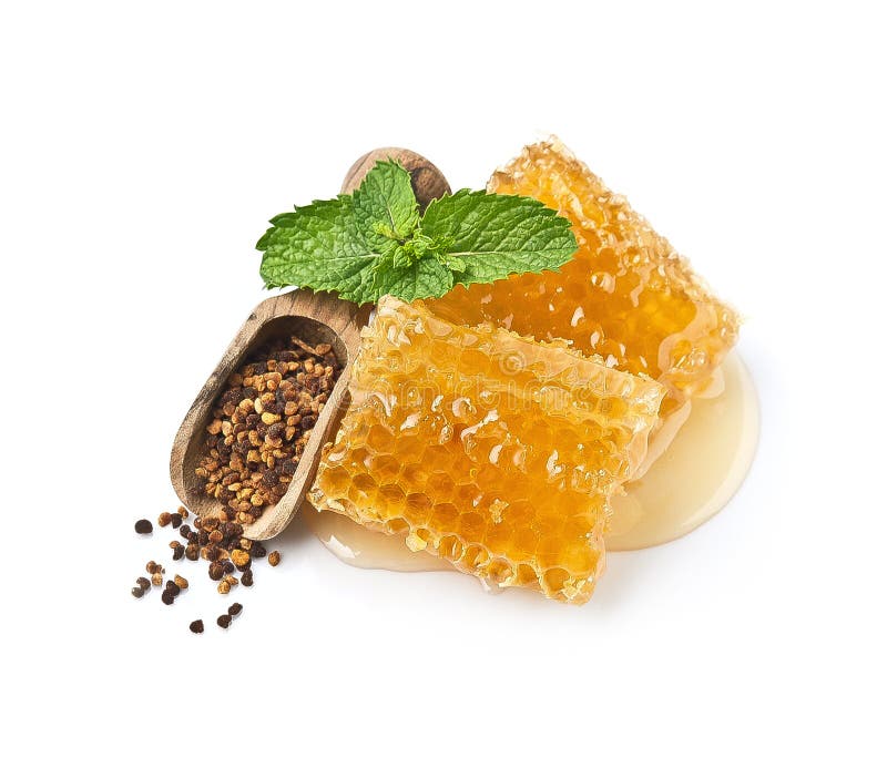 Honeycomb with Propolis and Mint Stock Image - Image of dessert ...