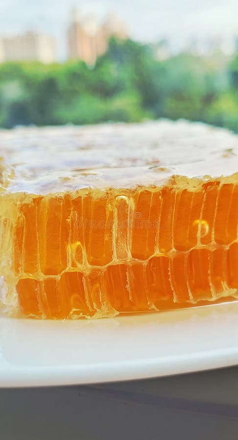 Honeycomb Slab stock image. Image of slab, sweet, fresh - 206622639