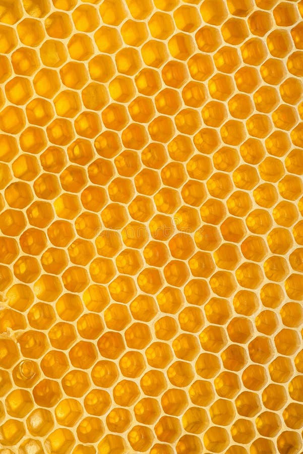 Yellow Honeycomb Pattern Hexagon Golden Honey (5.1cm X 5.9cm) 27.2cm X