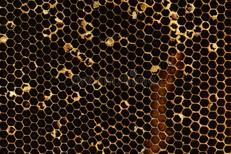 Honeycomb texture stock image. Image of backdrop, surface - 46874587
