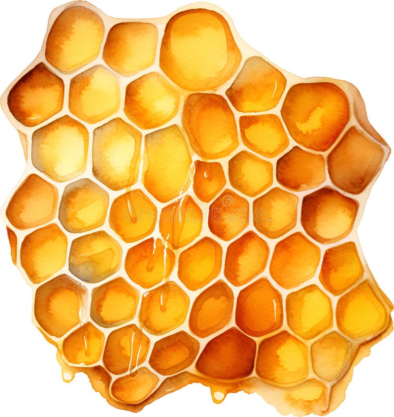 Honeycomb Watercolor Clipart Stock Photo - Illustration of macro ...