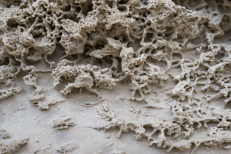 Honeycomb Weathering of White Marl Stock Image - Image of weathering ...