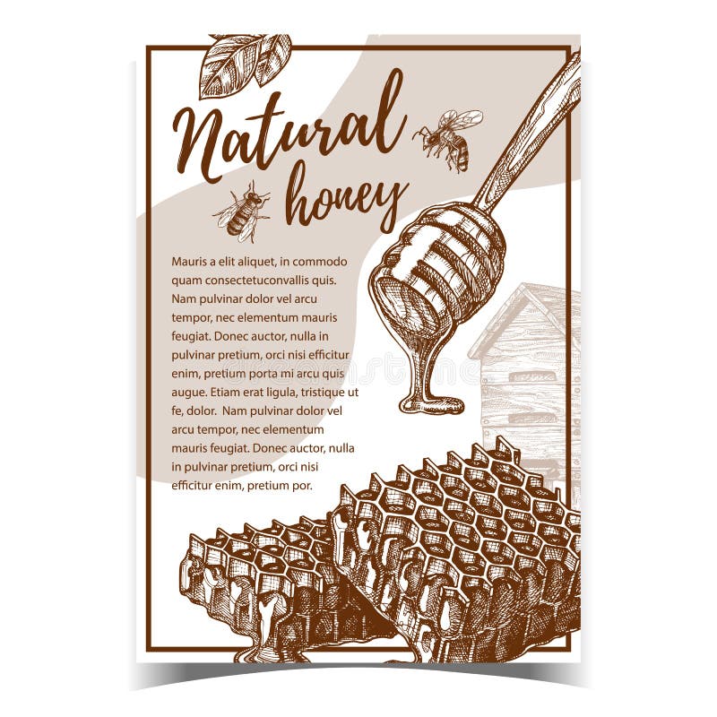 Wooden Beehive Apiary on Grass Apiculture Vector Stock Vector ... Wooden Beehive Apiary on Grass Apiculture Vector Stock Vector ...