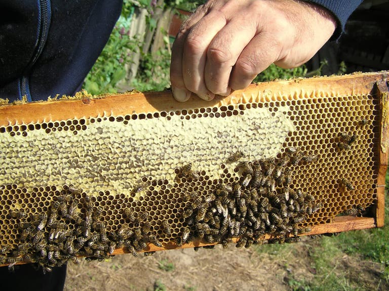 Eye Wrinkle 15 Minutes Laser Stock Photos - Free & Royalty-Free Stock ...