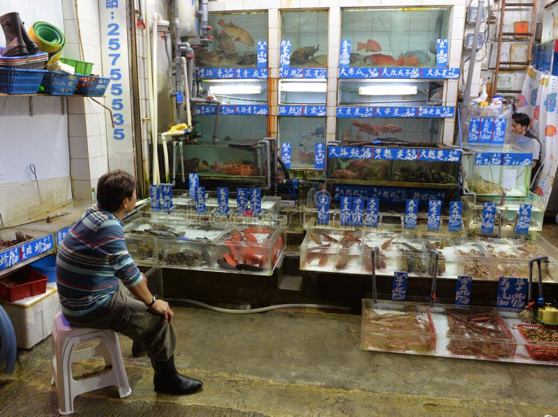 HONG KONG - APR 19, 2016: a Fish Store in Hong Kong Editorial Stock ...