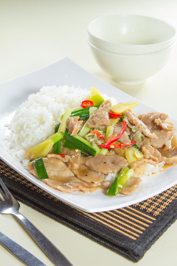 Hong Kong Style Rice with Meat Stock Image - Image of asian, background ...