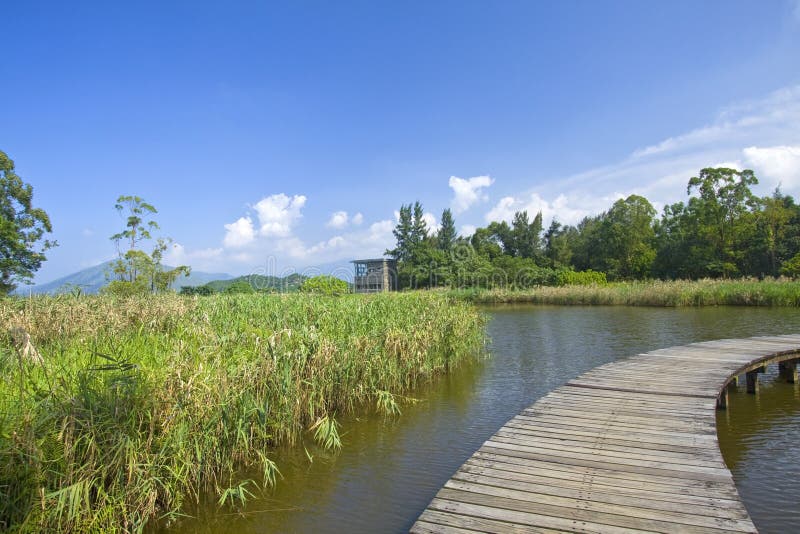 Hong Kong Wetland Park stock image. Image of green, cloud - 21144075
