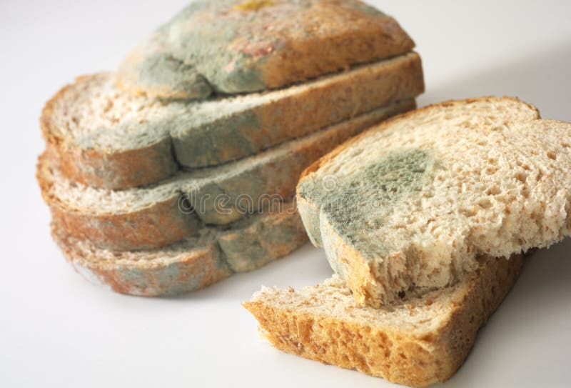 Moho en el pan foto de archivo. Imagen de fondo, médico - 9660158