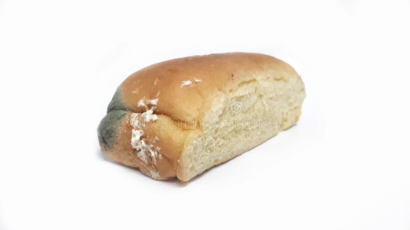 Hongo en el pan expirado foto de archivo. Imagen de hongo - 138088504