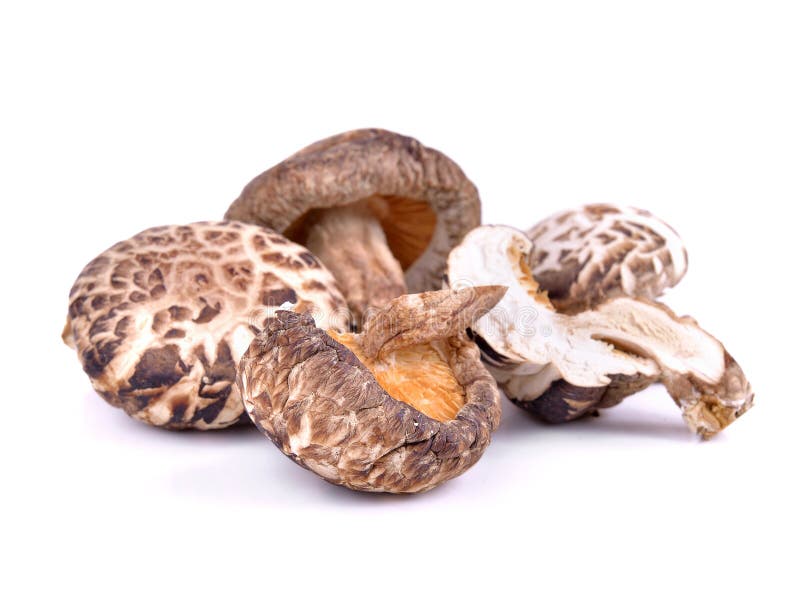 Hongo Shiitake Seco Sobre Blanco Foto de archivo - Imagen de cocina ...