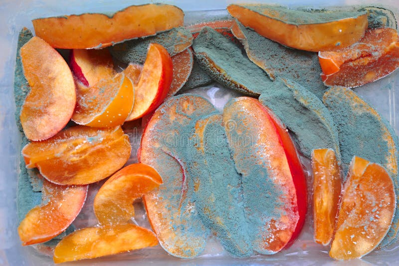 Hongos en fruta imagen de archivo. Imagen de tapajunta - 32296501