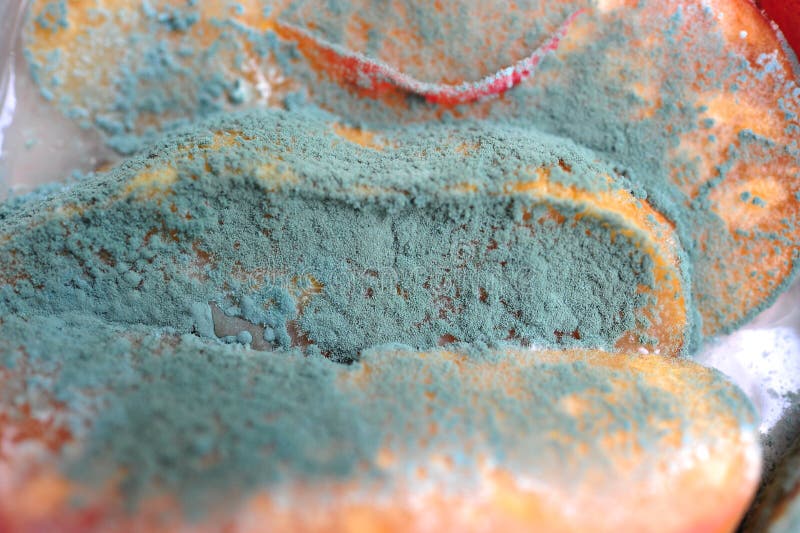 Hongos en fruta imagen de archivo. Imagen de tapajunta - 32296501