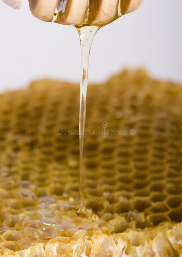 Honig stockfoto. Bild von gesundheit, zucker, mittel, backen - 2168830