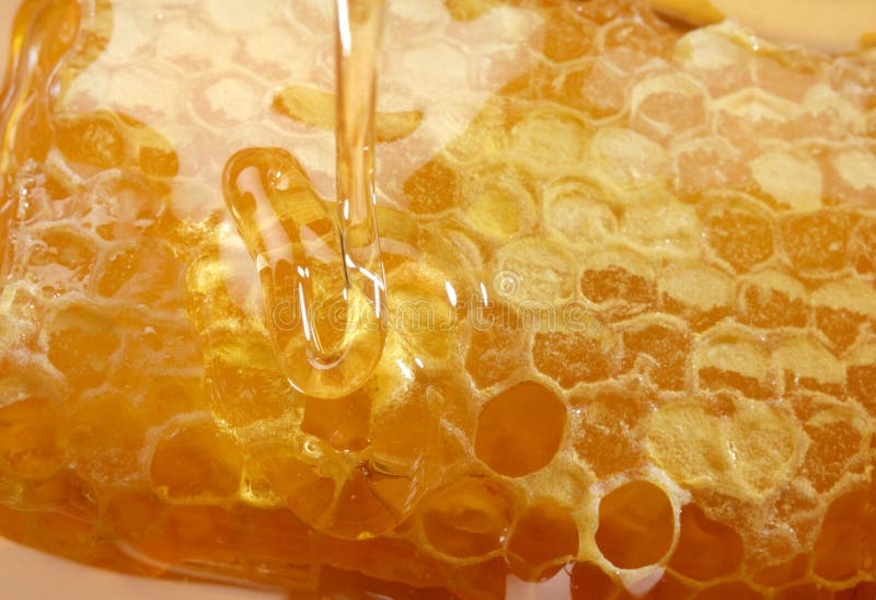 Honing, zoete honing stock foto. Image of honing, geel - 15472474