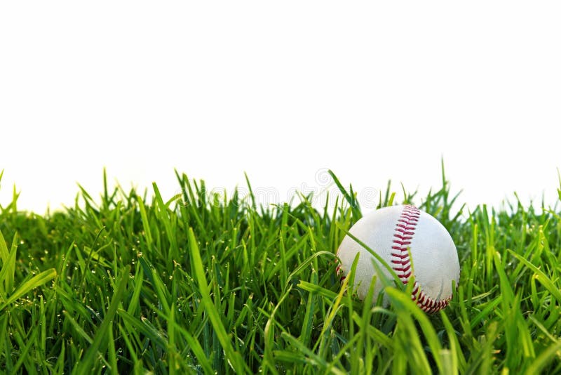 Honkbal in Met Dauw Bedekt Gras Stock Foto - Image of sluit, sport: 8746306