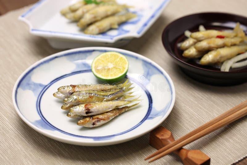 Honmoroko, Japanese Willow Shiner(female) Stock Image - Image of female ...