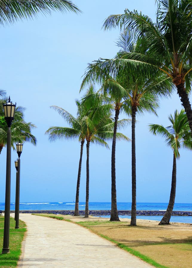 Honolulu stock image. Image of sunny, tourism, honolulu - 69482167