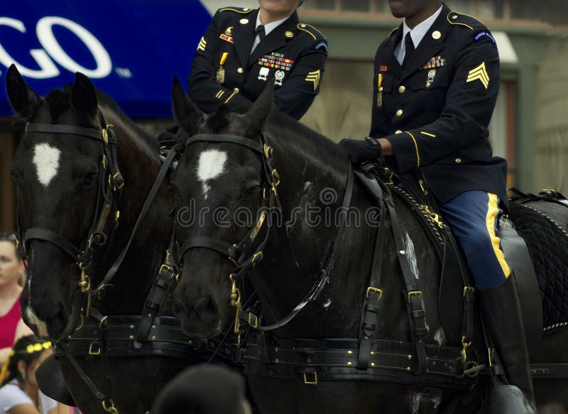 Honor Guard editorial stock image. Image of resting, esquestrian - 53396674