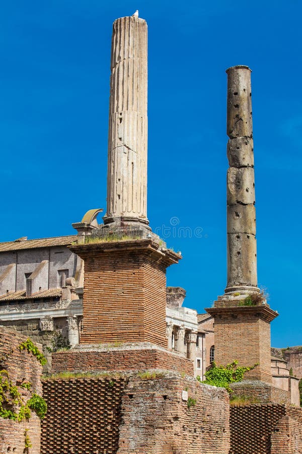 Honorary Columns at the Roman Forum in Rome Stock Photo - Image of ...