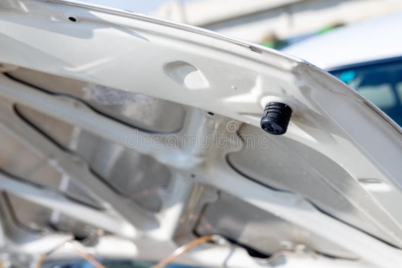 Hood Bump Stops Rubber Bush or Hood Adjust Rubber Bumper Stops Stock ...