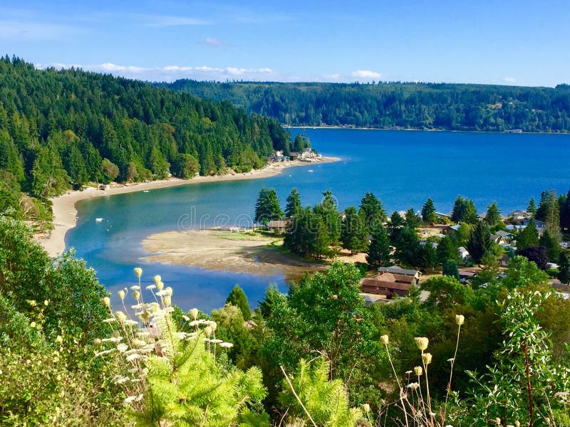 View Off Deck, Tahuya, Washington Stock Image - Image of liquid, potted ...