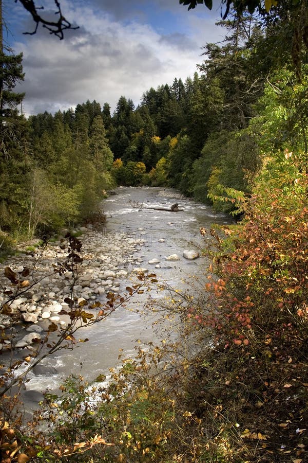Colorado Fall River Scene stock photo. Image of outdoor - 1859248