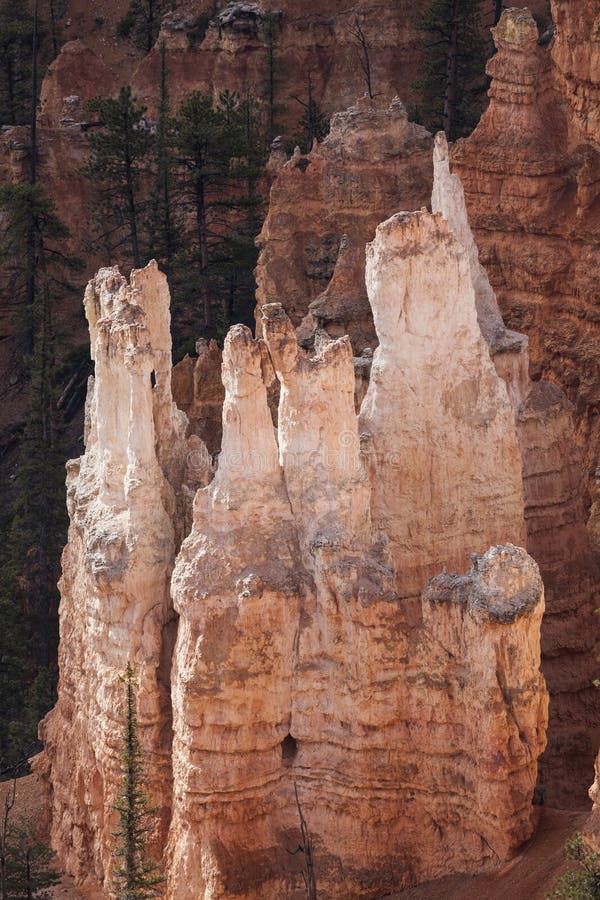 Hoodoos stock image. Image of vertical, american, north - 25565427