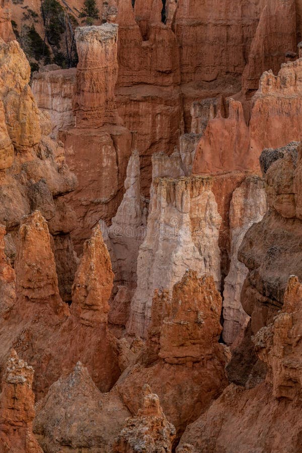 Hoodoos Stacked upon Each Other Creating Crowded Amphitheater Stock ...