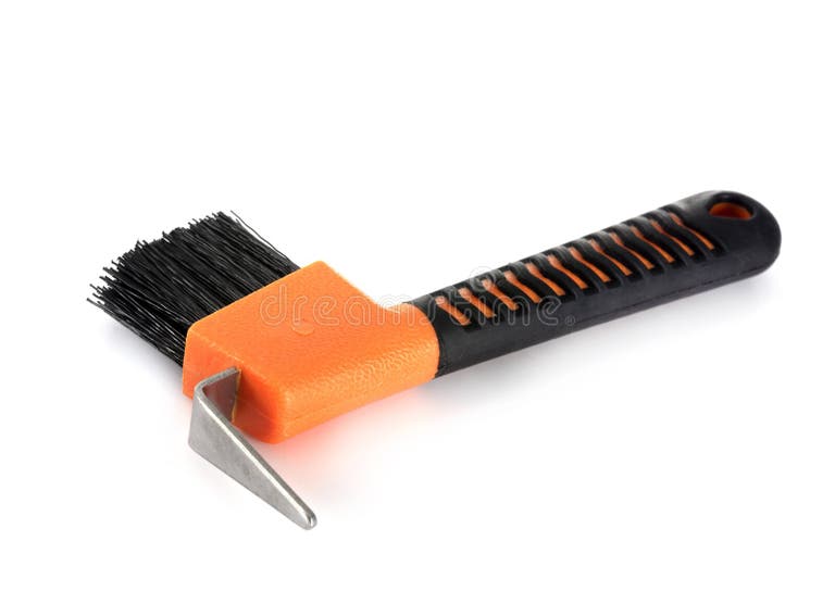 Hoof cleaner in studio stock photo. Image of equitation - 372568728