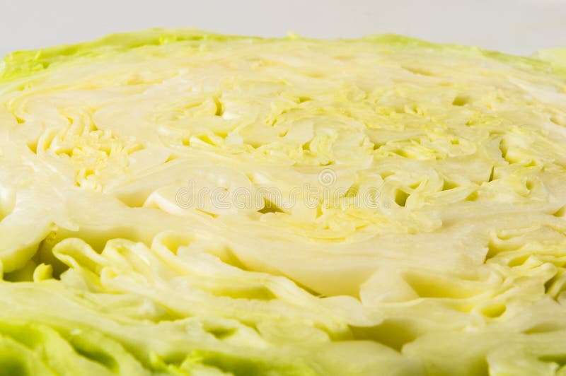 Hoofd van kool stock foto. Image of voeding, hoofd, landbouw - 73293272