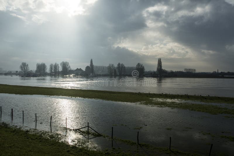 High Water in the River Lek Editorial Photo - Image of tree ...