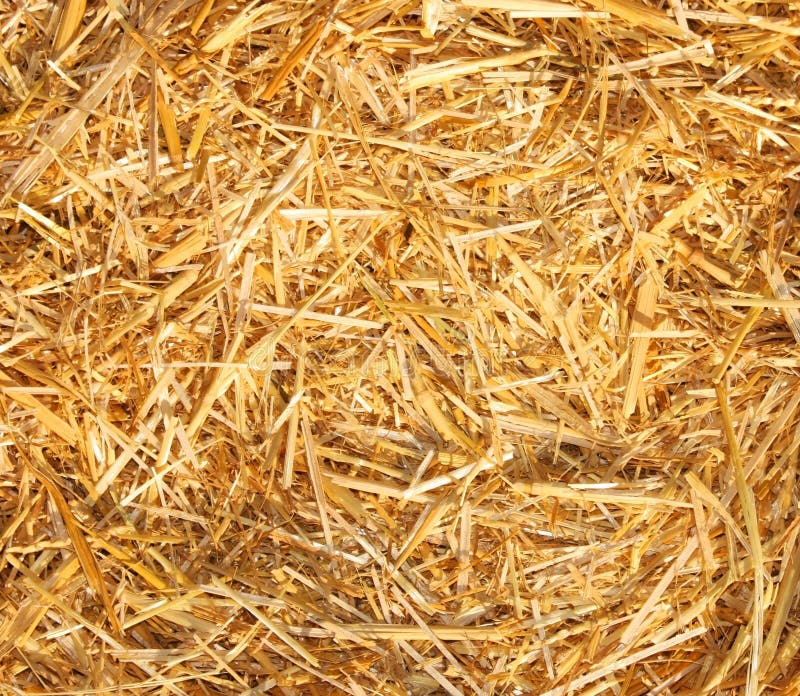 Hooi stock afbeelding. Image of paar, rogge, decoratie - 12012191