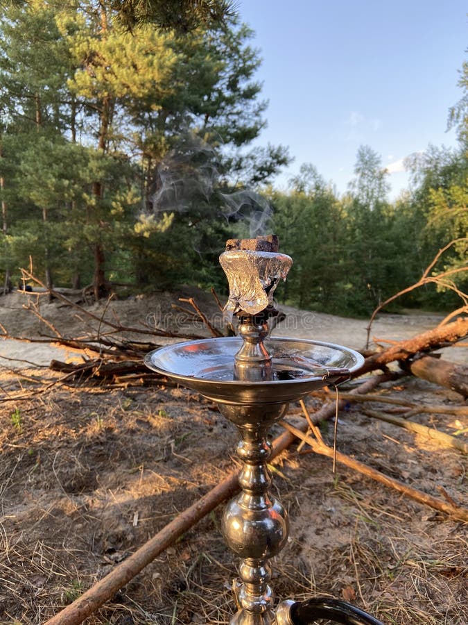 Hookah in the forest stock image. Image of wood, forest - 201658021