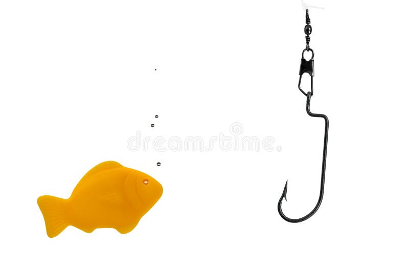 Hooked stock photo. Image of sharp, hobby, fishing, sport - 4039988