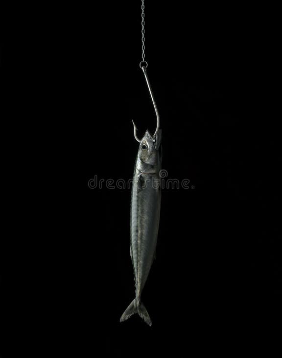 Hooked Fish stock image. Image of hobbies, multi, hook - 25062021