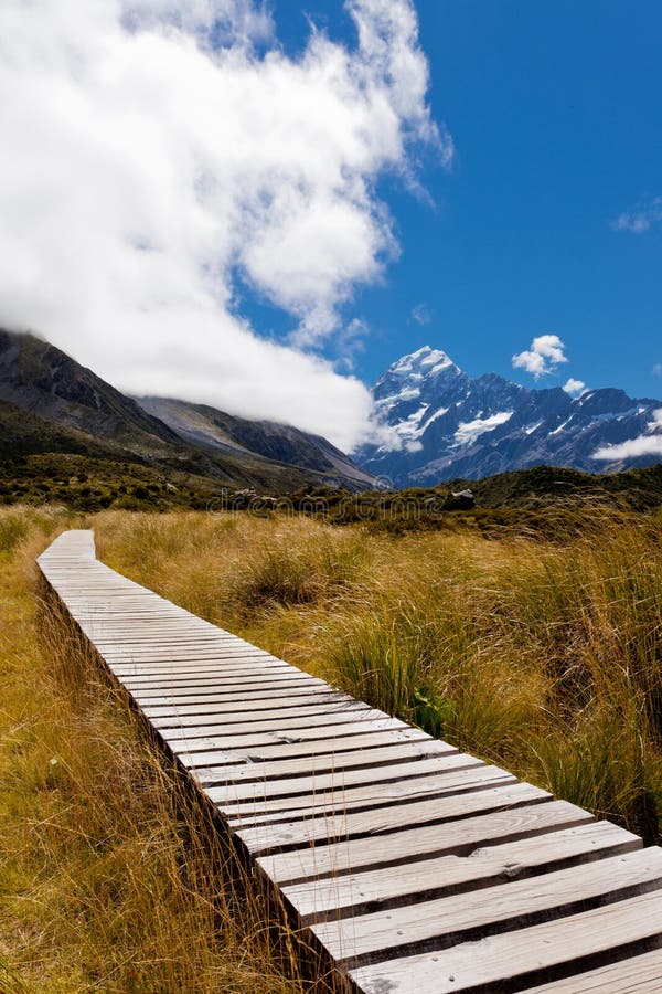 Valley with Aoraki Mt Cook Southern Alps NZ Stock Image - Image of ...