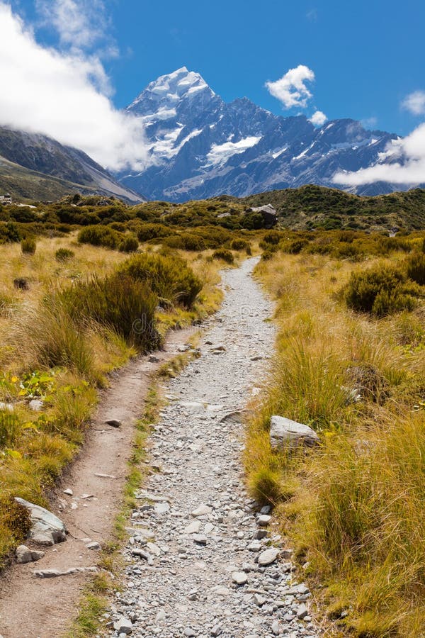 Valley with Aoraki Mt Cook Southern Alps NZ Stock Photo - Image of ...