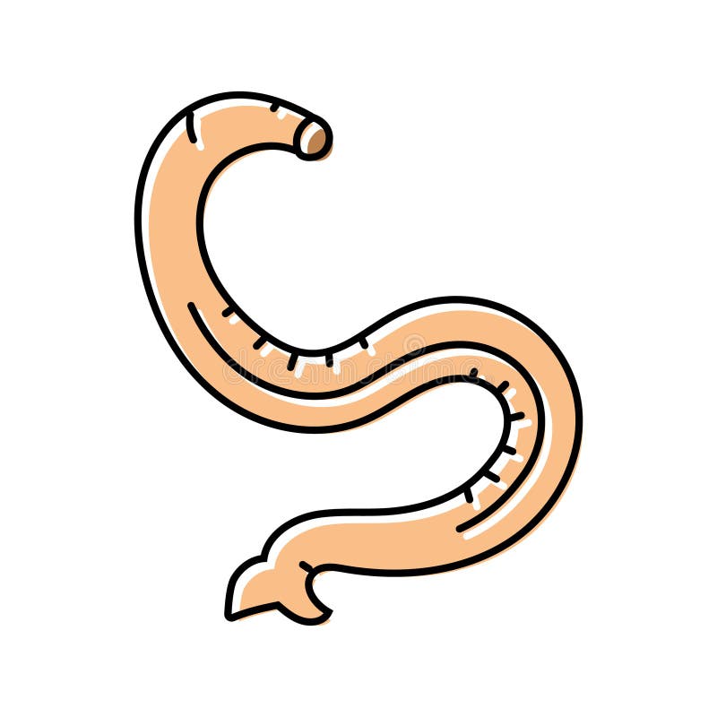 Hookworm Parasite Color Icon Vector Illustration Stock Vector ...