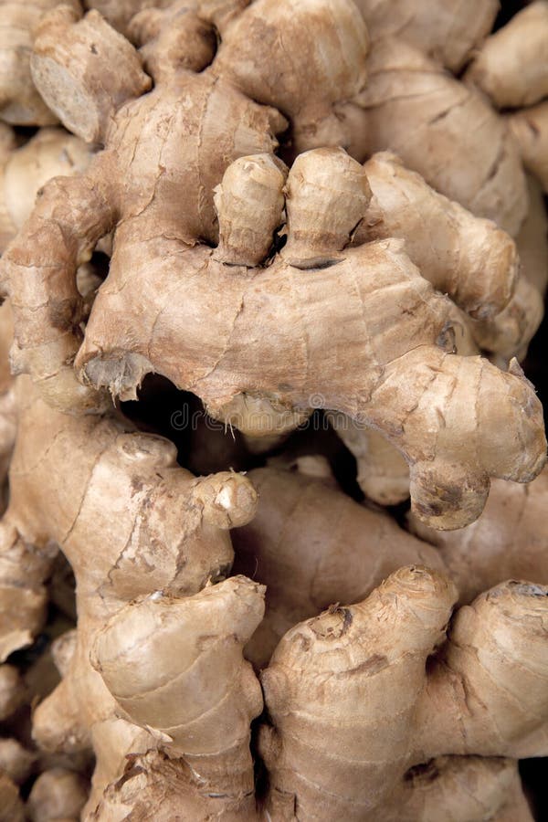 Hoop gemberwortel stock foto. Image of gezondheid, voeding - 24205938