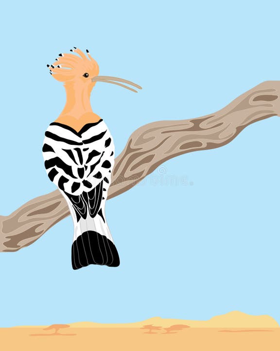 Upopa Epops Stock Illustrations – 1 Upopa Epops Stock Illustrations ...