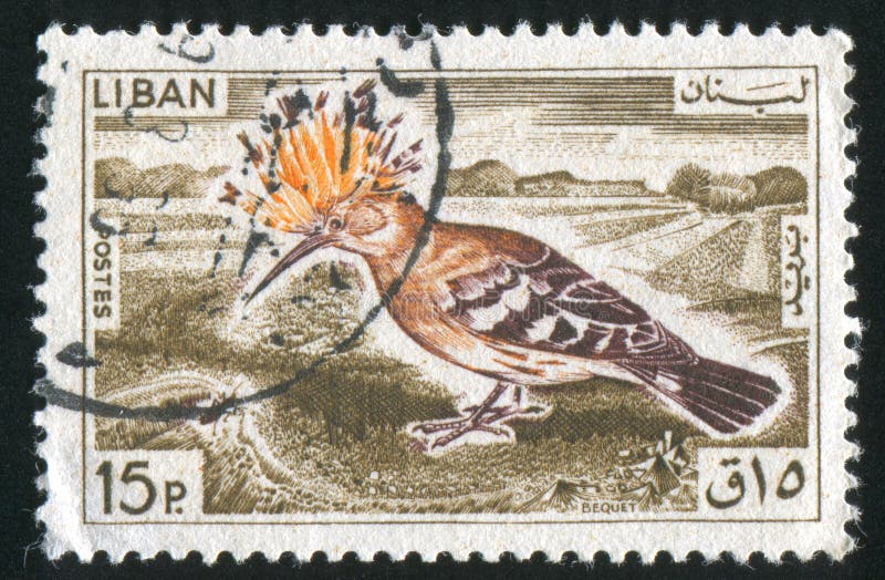 Hoopoe editorial photography. Image of claw, long, animal - 174573582