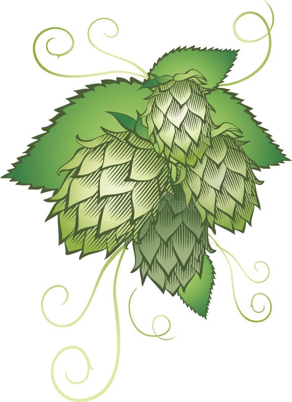 Hop Field Stock Illustrations – 1,722 Hop Field Stock Illustrations ...