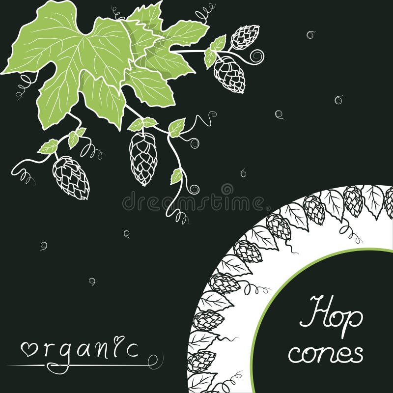 Hop Branch with Cones Corner Pattern Stock Vector - Illustration of ...