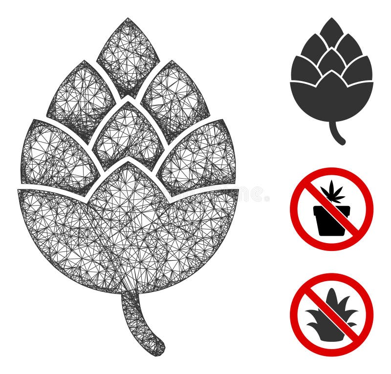 Hop Bud Polygonal Web Vector Mesh Illustration Stock Illustration ...