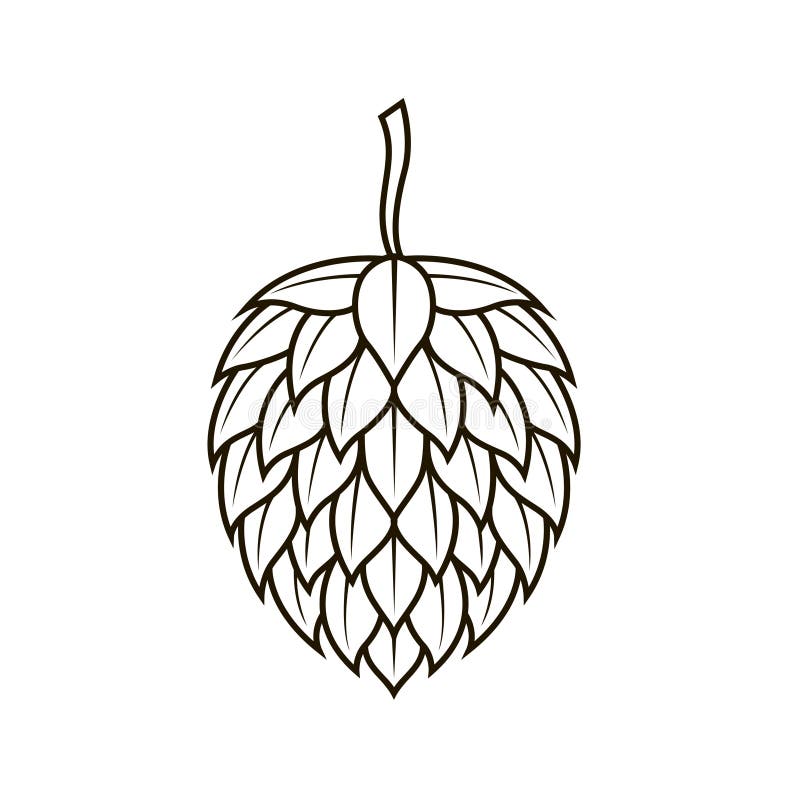 Hop Cone Stock Illustrations – 1,765 Hop Cone Stock Illustrations ...