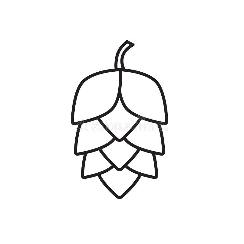 Hop cone icon stock vector. Illustration of design, strobiles - 154594505